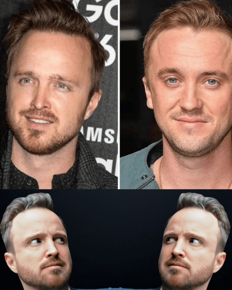 Aaron Paul and Tom Felton are not alike - aaron paul fans